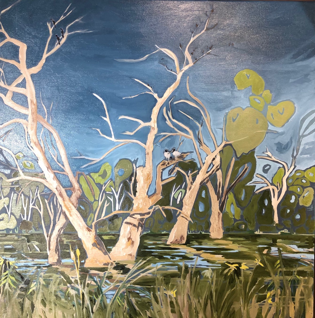 rivers & wetlands current series – inel date