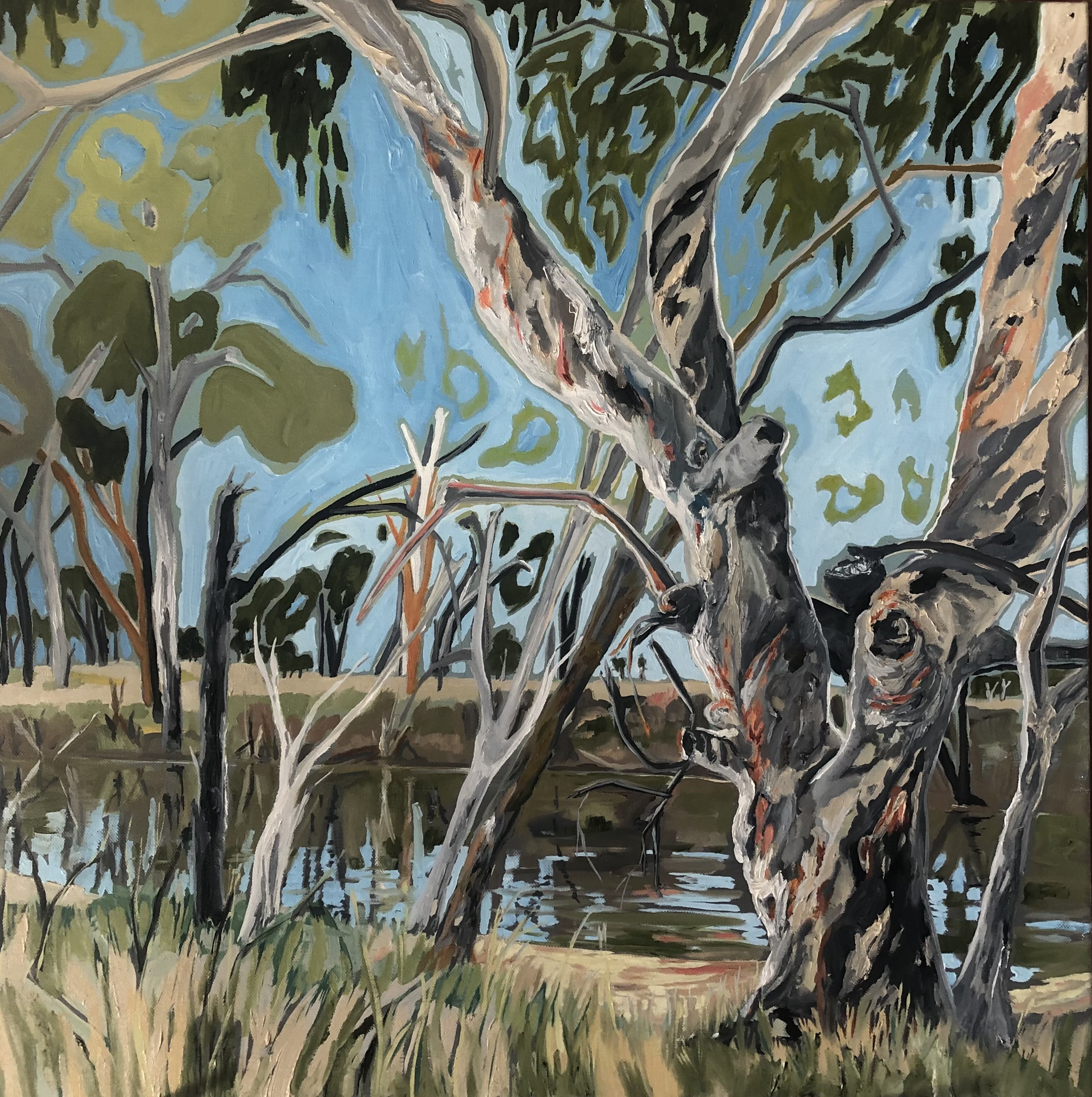 rivers & wetlands current series – inel date